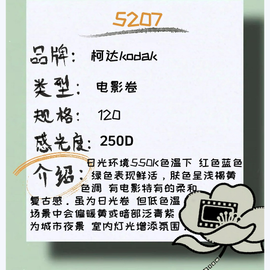 山茶5207 120胶卷：复古摄影爱好者的新宠，拍出电影感大片！-快显胶片-淘宝好物网