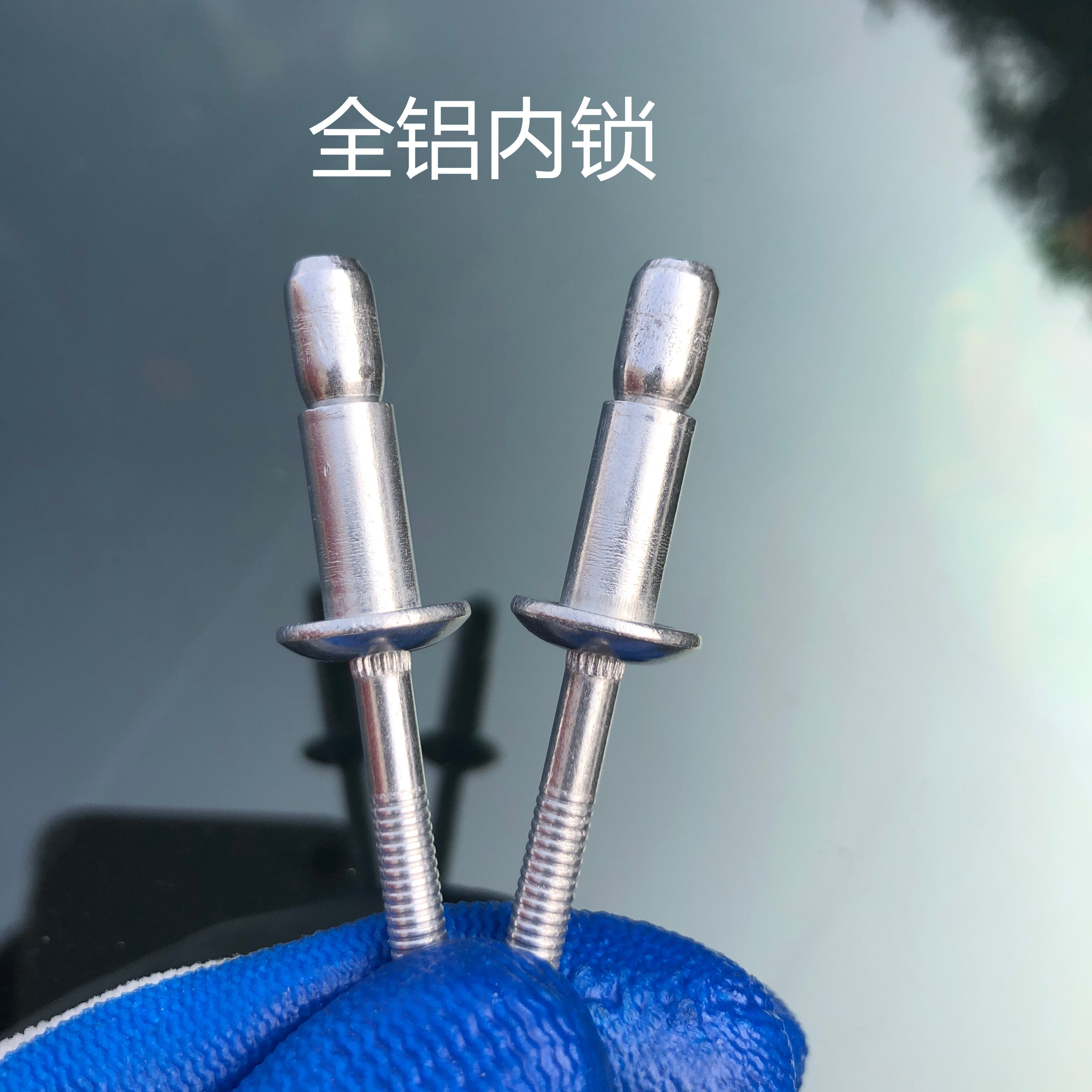 100-piece pack of all-aluminum inner-locking drawn rivets – your car ...