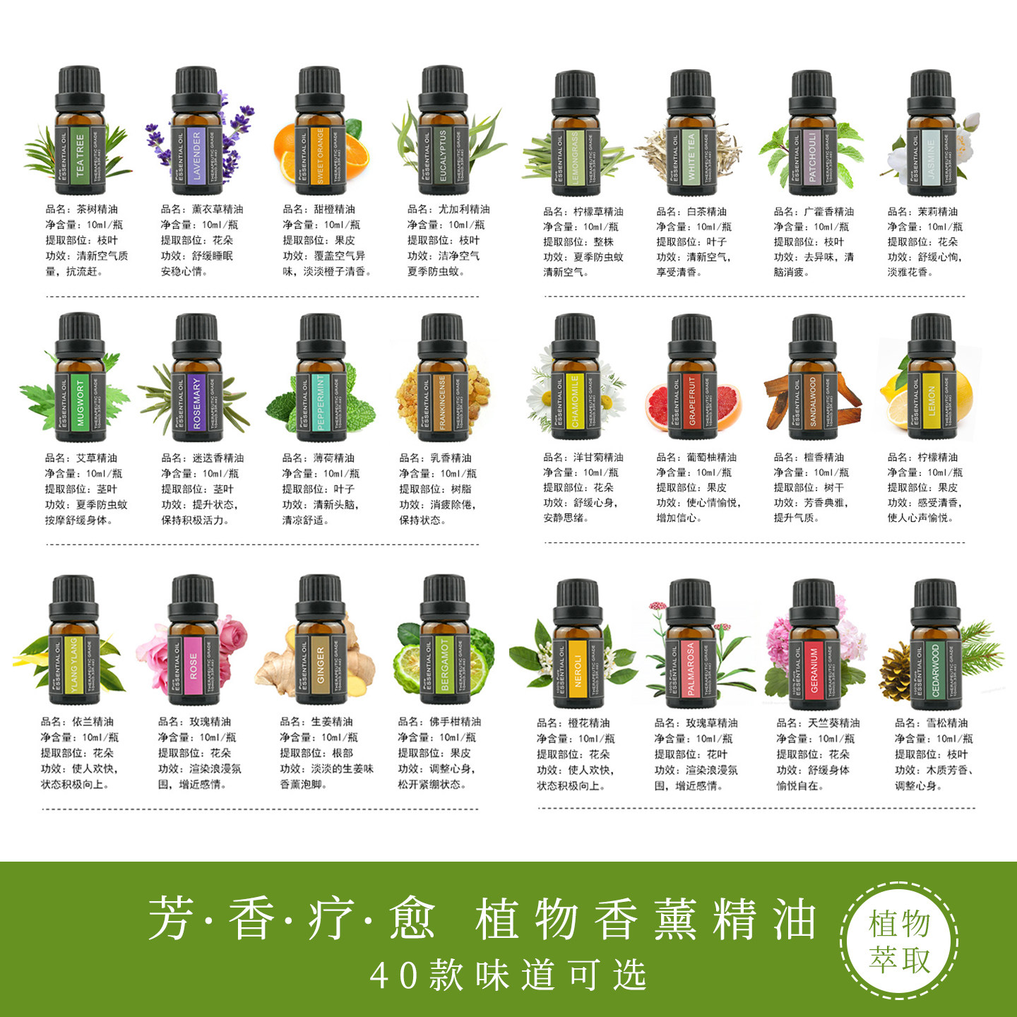 2025's latest reviews | single essential oils for aromatherapy | a must ...