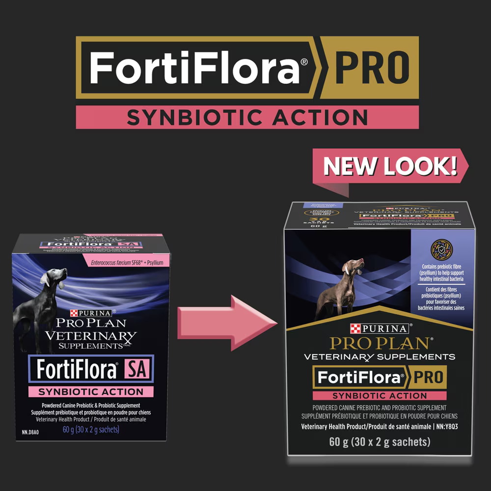 25年最新｜普瑞纳FortiFlora金装升级版犬用益生菌必买指南！狗子拉稀救星🔥-狗益生菌-淘宝好物网