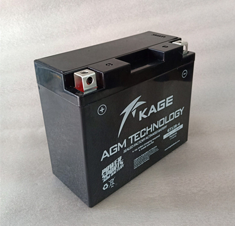 Ducati 696 Big Devil 848 795 821 GT1000 MTS1200 maintenance-free ...