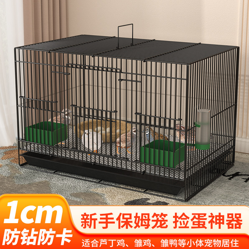 Quail cages: providing your small pets with a safe and secure home 🐥 🏡