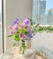 绿艺flowers