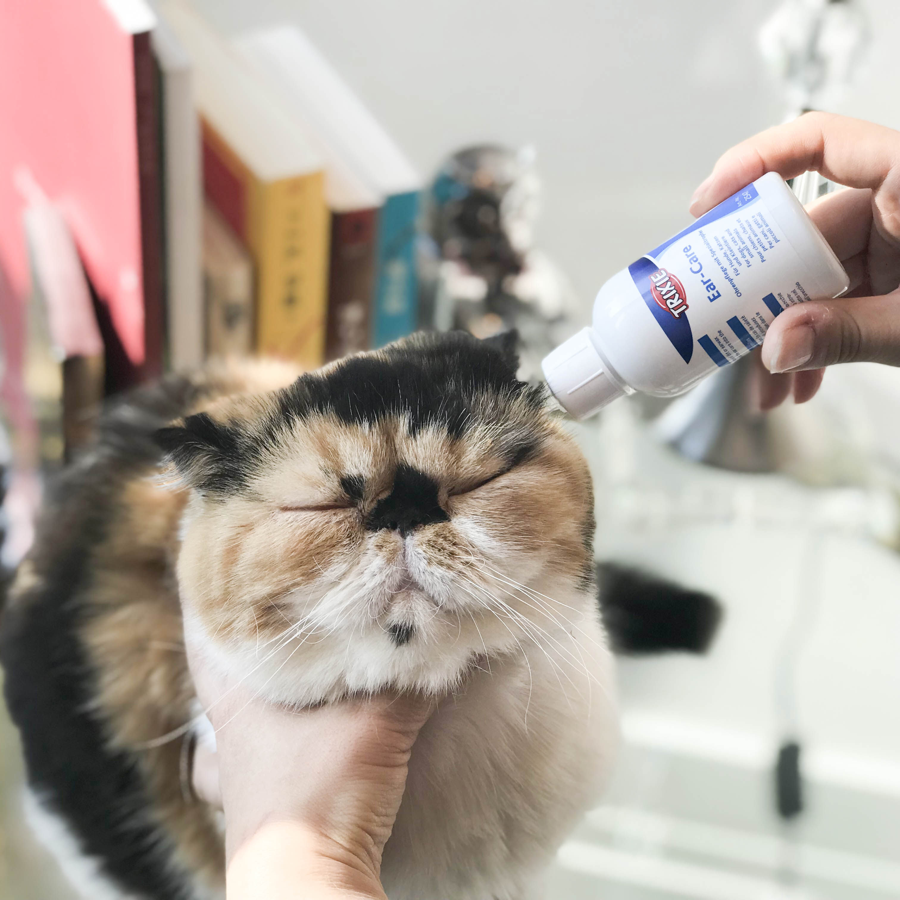 Trixie Rui Shi pet ear care cleaning solution 50ml clean ear ear mites ...