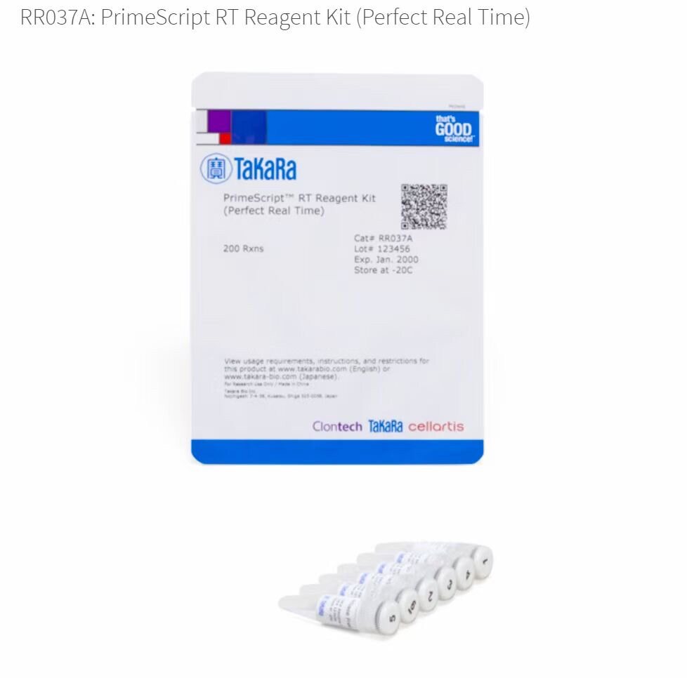RR037A TAKARA PrimeScrip RT reagent Kit 反转录试剂盒