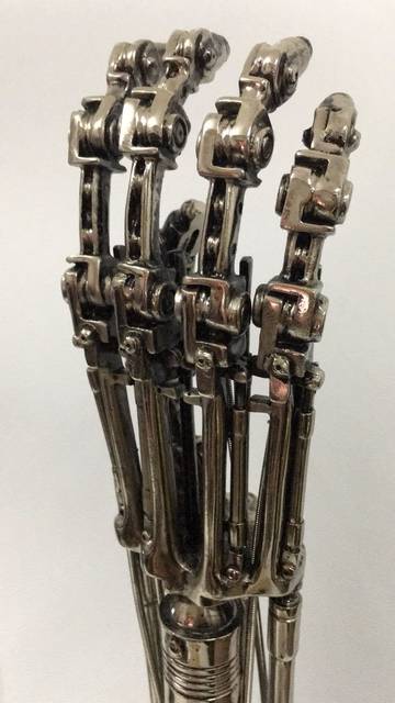 Terminator Endoskeleton Arm