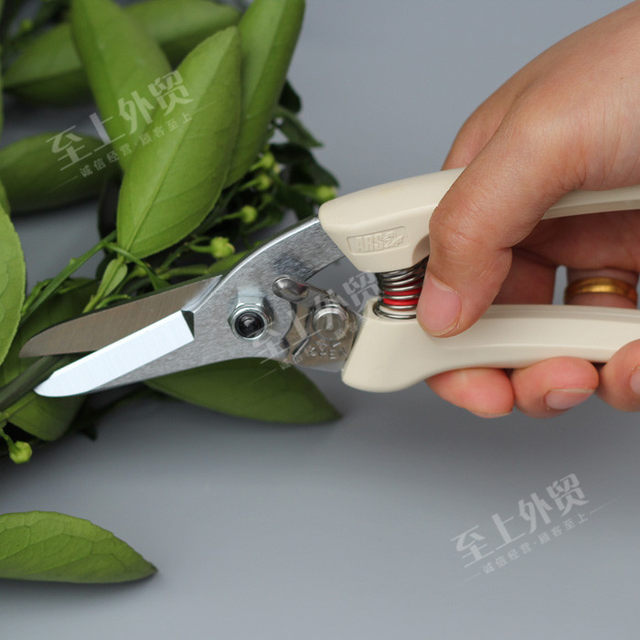 Imported Alice pruning shears ARS 140DX floral shears leather shears ...