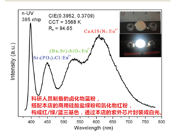 Silicate S518nm green phosphor powder for white LEDs Matched with red ...