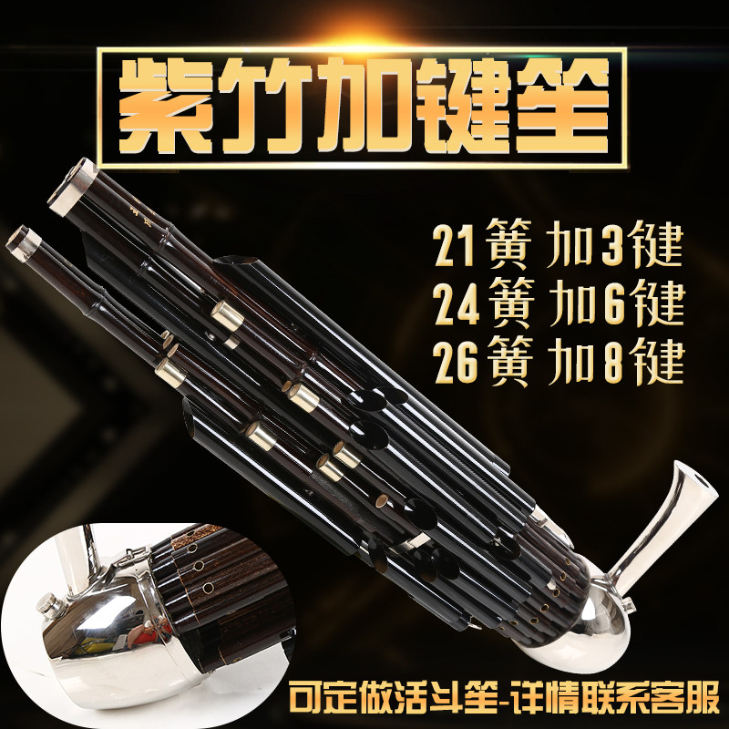 Tianjin Wang's Sheng Musical Instrument Professional Beginner 21 Reed ...