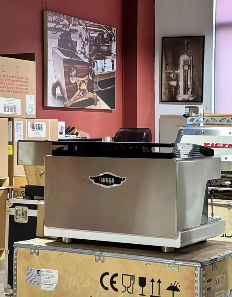 咖啡控尖叫现场！WEGA PEGASO PLUS毕加索咖啡机测评🔥这才是意式咖啡的天花板？！-商用咖啡机-淘宝好物网