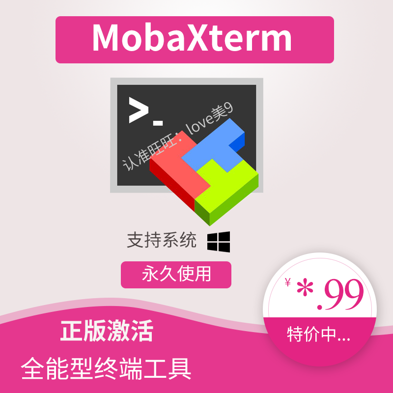 MobaXterm Professional 24.2专业版 中文版 授权文件 永久使用-Taobao