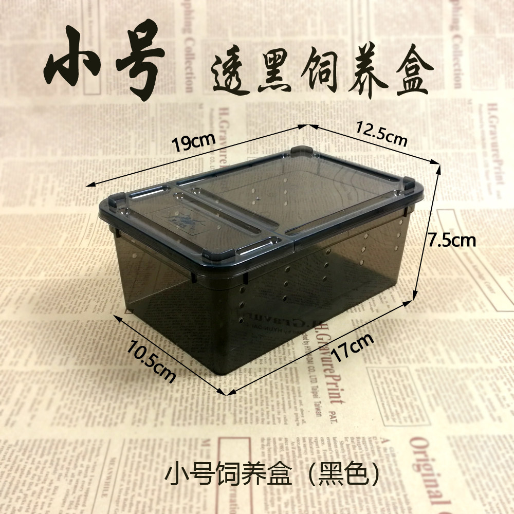 [USD 4.24] Climbing and reptile boxes to guard the palace lizard spider ...