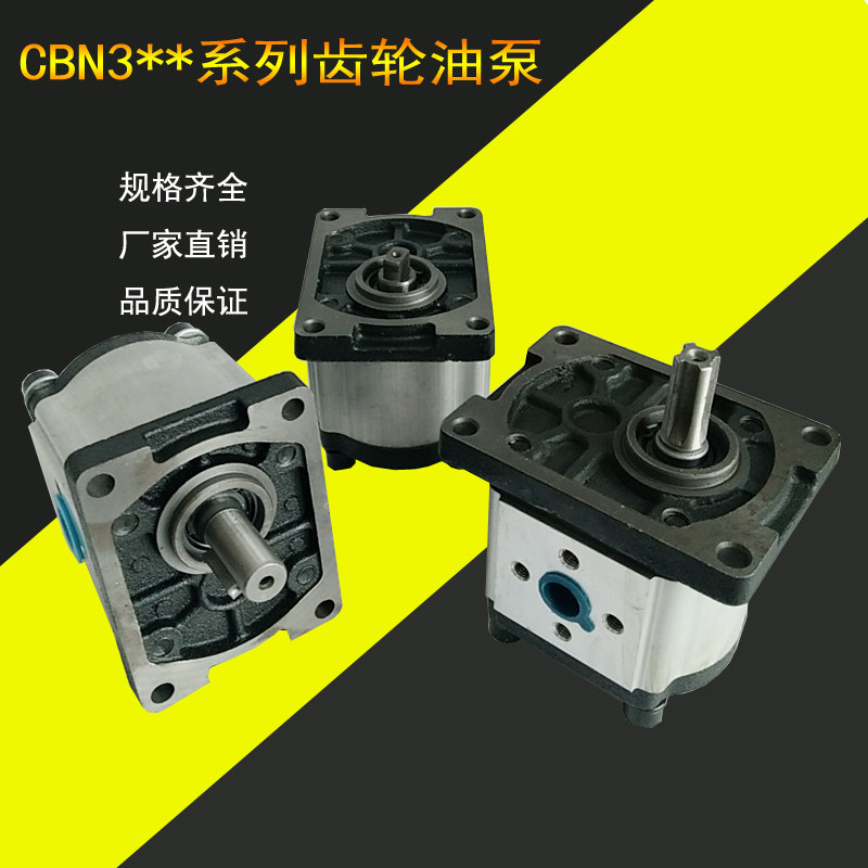 Gear pump CBT-F304 CBT-F306 CBT-F310 CBT-F312 CBT-F314 CBT-F320 CBT ...
