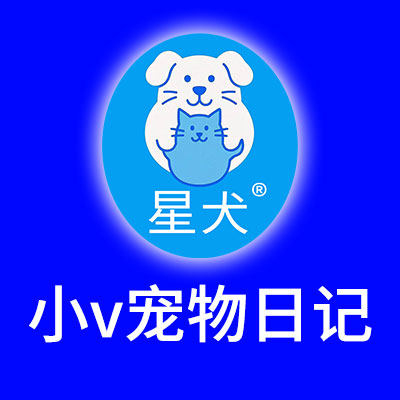 小V宠物日记