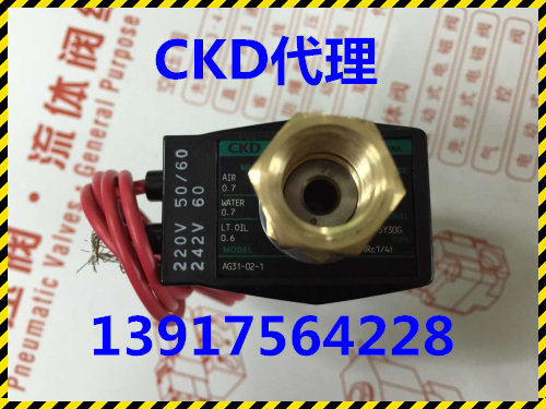 [USD 58.44] Solenoid valve AG31-02-1-AC220V AG31-02-1-02E-DC24V ...