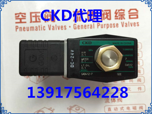 CKD solenoid valve ADK11-8A-10A-15A-20A-25A-02C-02E-02ES-03A-DC24V220V