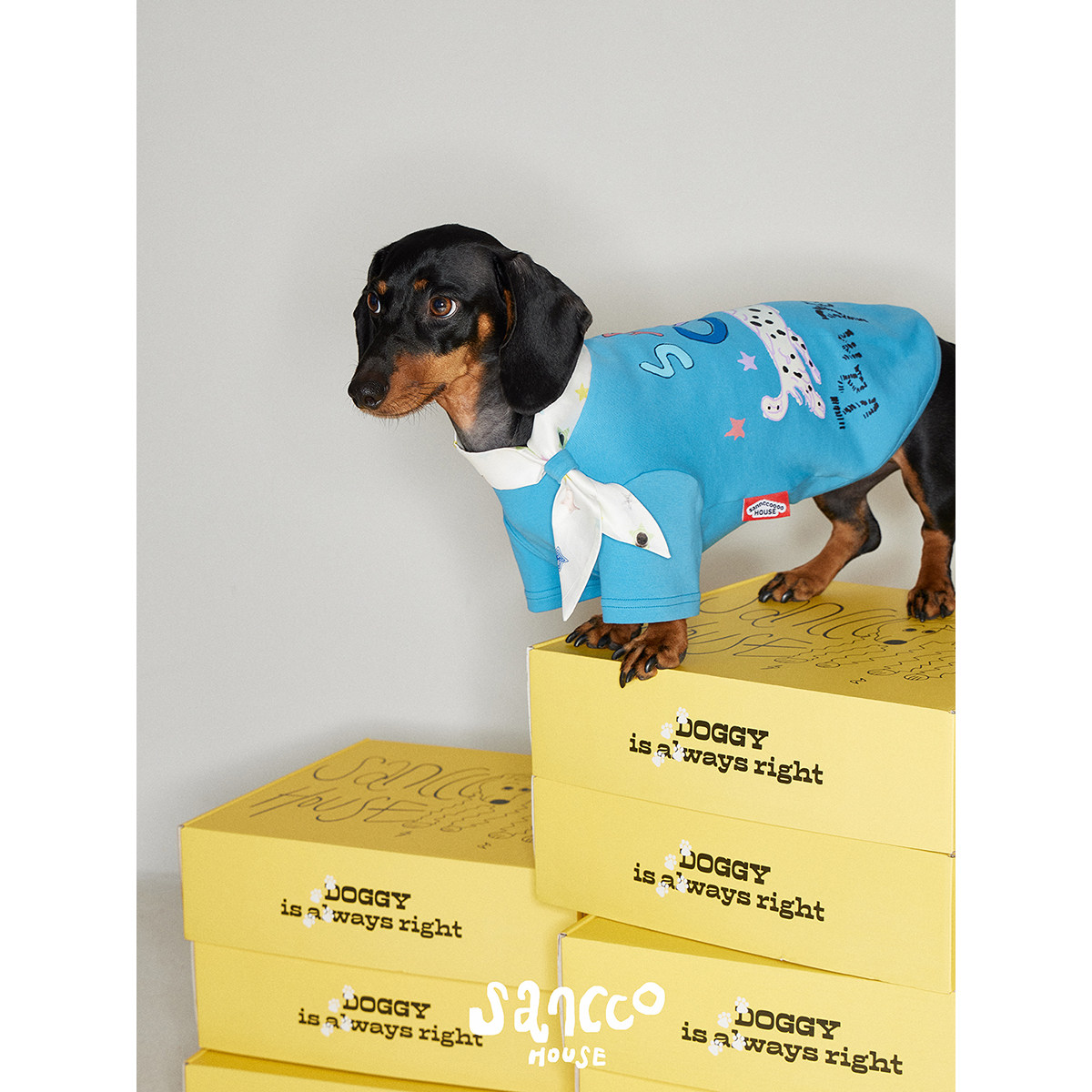 SANCCO「I'm pet lover」宠物款狗狗印花T恤：萌宠控的时尚新宠！-猫宠物服装-淘宝好物网