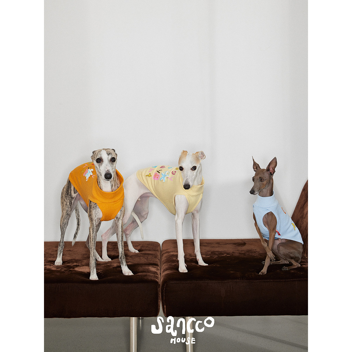 SANCCO「Doggy is Always Right」字母印花纯色宠物背心：萌宠穿搭新潮流，让狗狗成为街头焦点！-猫宠物服装-淘宝好物网