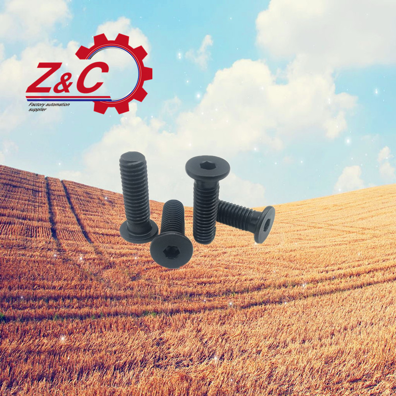 TAF51/TAF52-M6/M8/L10/L12/L16/L20/L25超短头内六角圆柱头螺钉