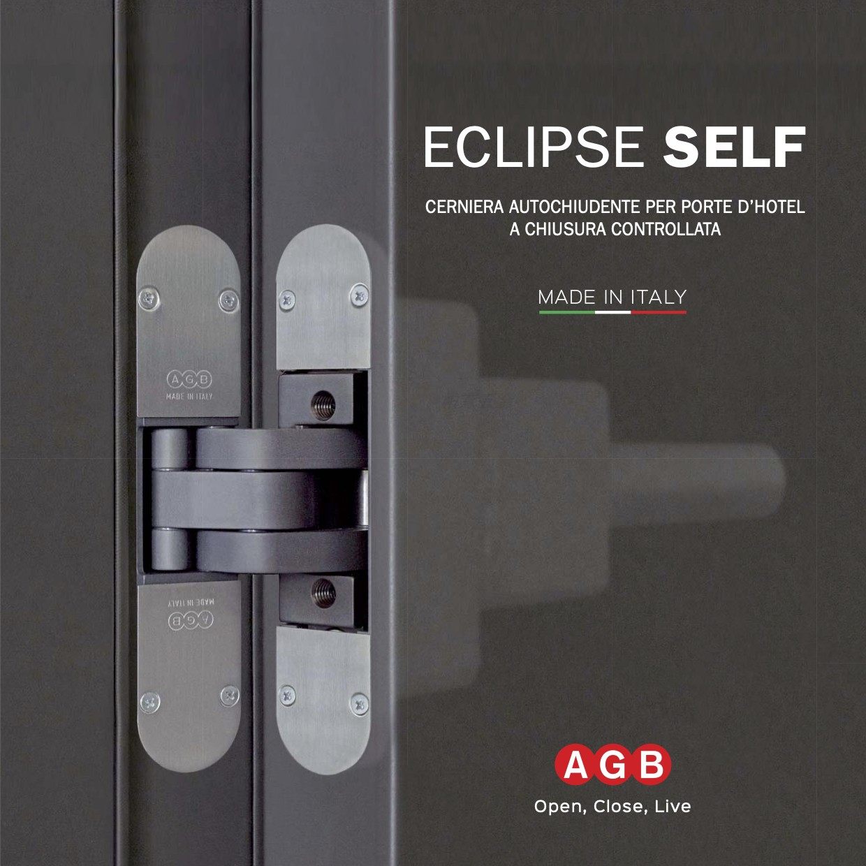 Italian agb invisible door special spring hinge, can it really be ...