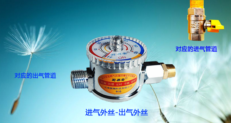 Gas Stove Timer Switch Gas Burning Safety Valve Manufacturer-supplier China