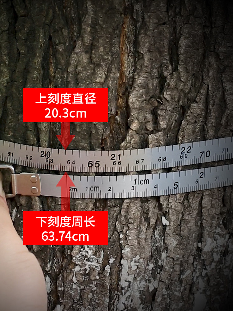 [USD 4.69] tree circumference measuring tree circumference measuring ...