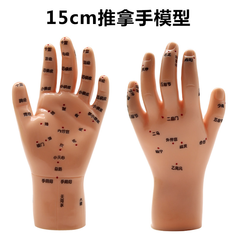 [USD 9.14] May Junkang Human Body Hand Model Massage Hand Acupuncture ...
