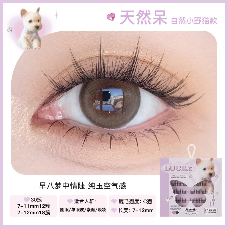 FLORTTE / Floralia Self-Adhesive No-Glue Comic Eyelashes - Import ...
