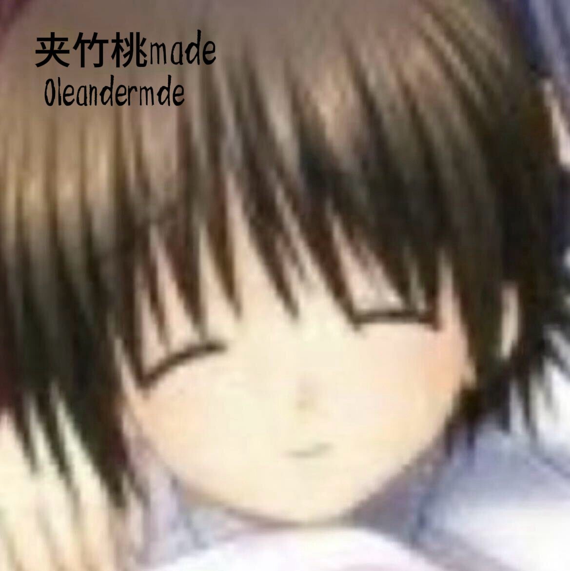 夹竹桃made