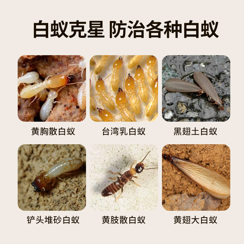 misscell连环灭杀白蚁药！白蚁克星来袭！非无毒但超安全！-灭蚁药卫生农药-淘宝好物网