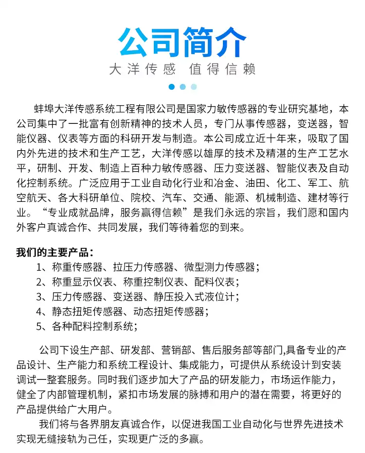 大洋DYN-200动态扭矩传感器 高精度马达扭力测量仪 金属材质多量程可选