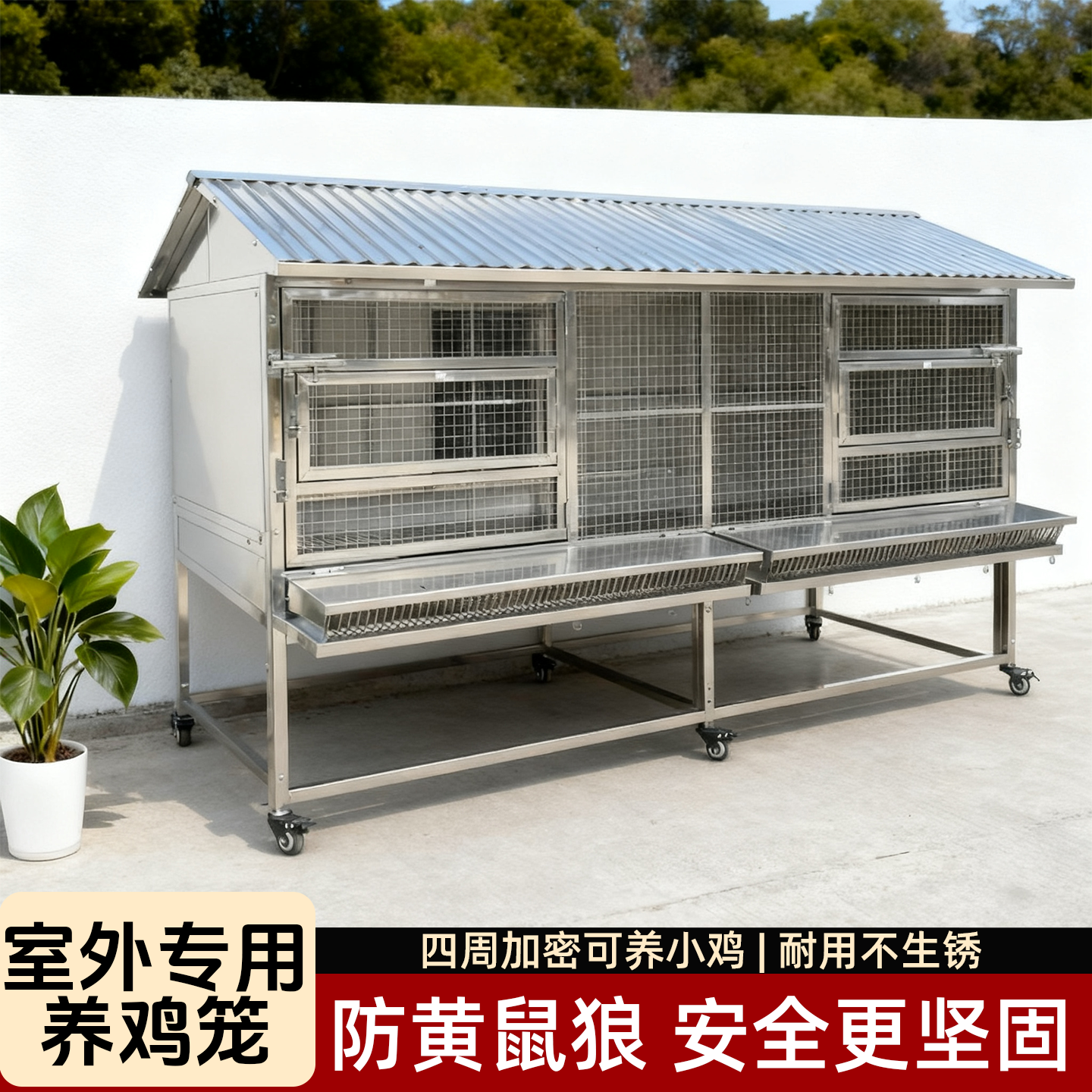 🏠 Worry-free chicken raising: rainproof and weasel-proof stainless ...
