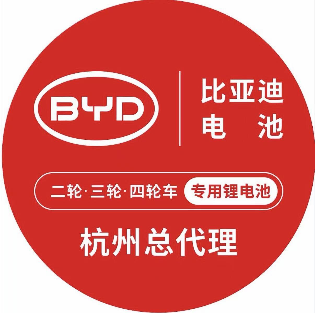 中国比亚迪电池服务