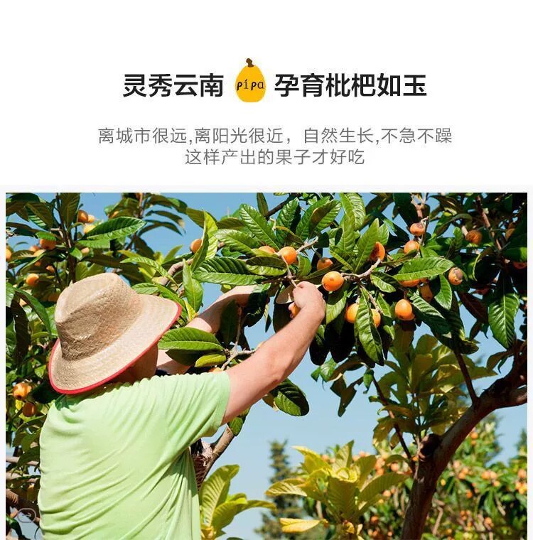 蒙自老刘家