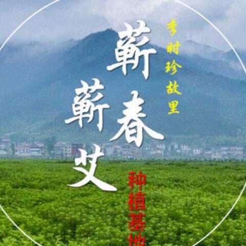 湖北艾沁春蕲艾科技工厂企业店
