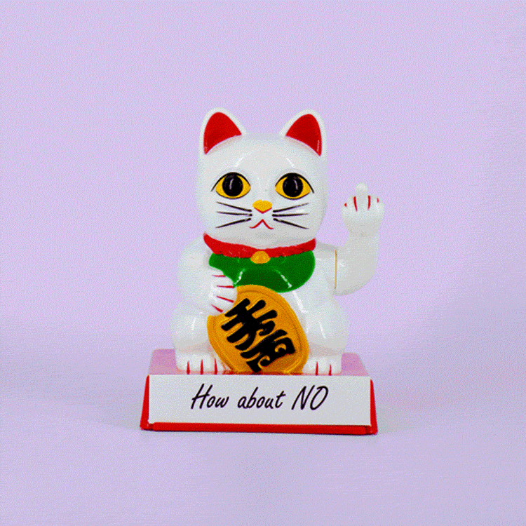 Cat Middle Finger Gif