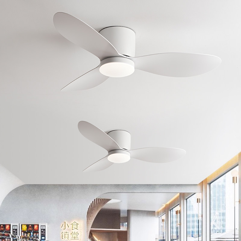 Nordic ceiling fan light for home dining room | 25-year silent inverter ...