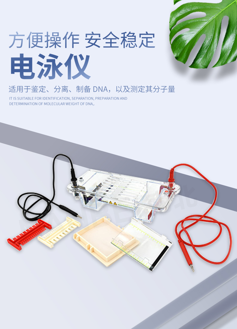 北京六一 琼脂糖水平电泳仪DYCP-31DN/CN实验室蛋白凝胶电泳槽-阿里巴巴