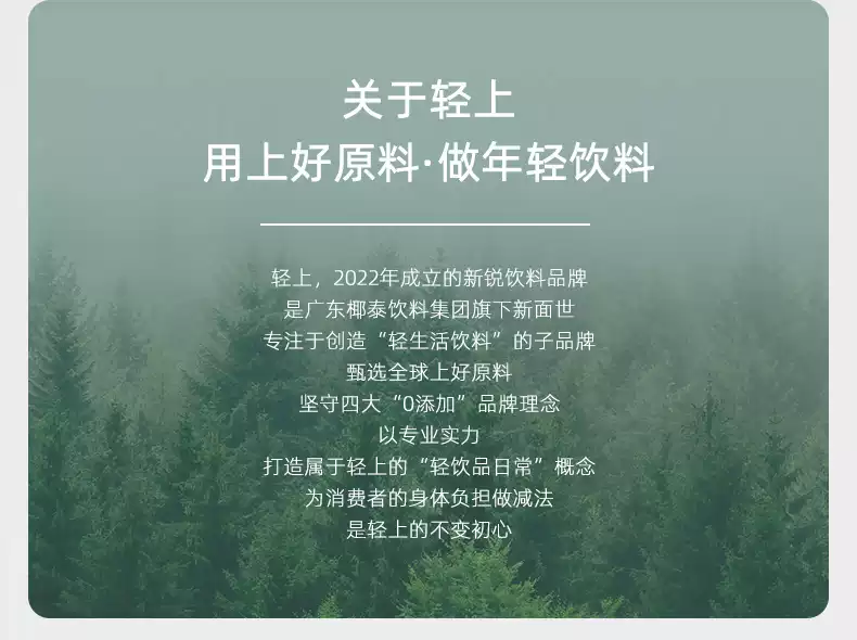 轻上100%NFC白桦树汁饮品0脂肪天然原汁植物饮料245ml*10瓶-Taobao