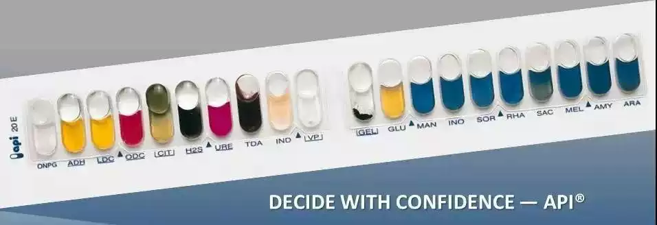 法国梅里埃 碳水化合物鉴定试剂盒API 50 CH 10测试/盒 货号50300-Taobao