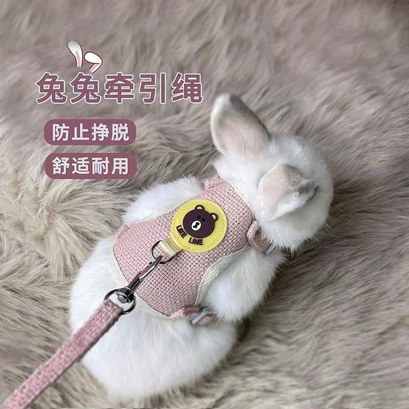 2025 recommended rabbit leashes: escape-proof & adjustable – your ...