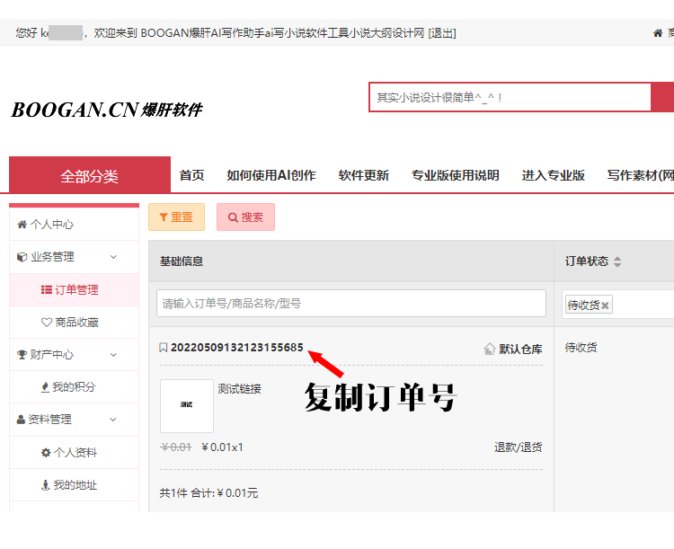 BOOGAN.CN 爆肝AI写作软件-ai写小说软件，AI写作助手工具|专业版|软件激活、数据中心