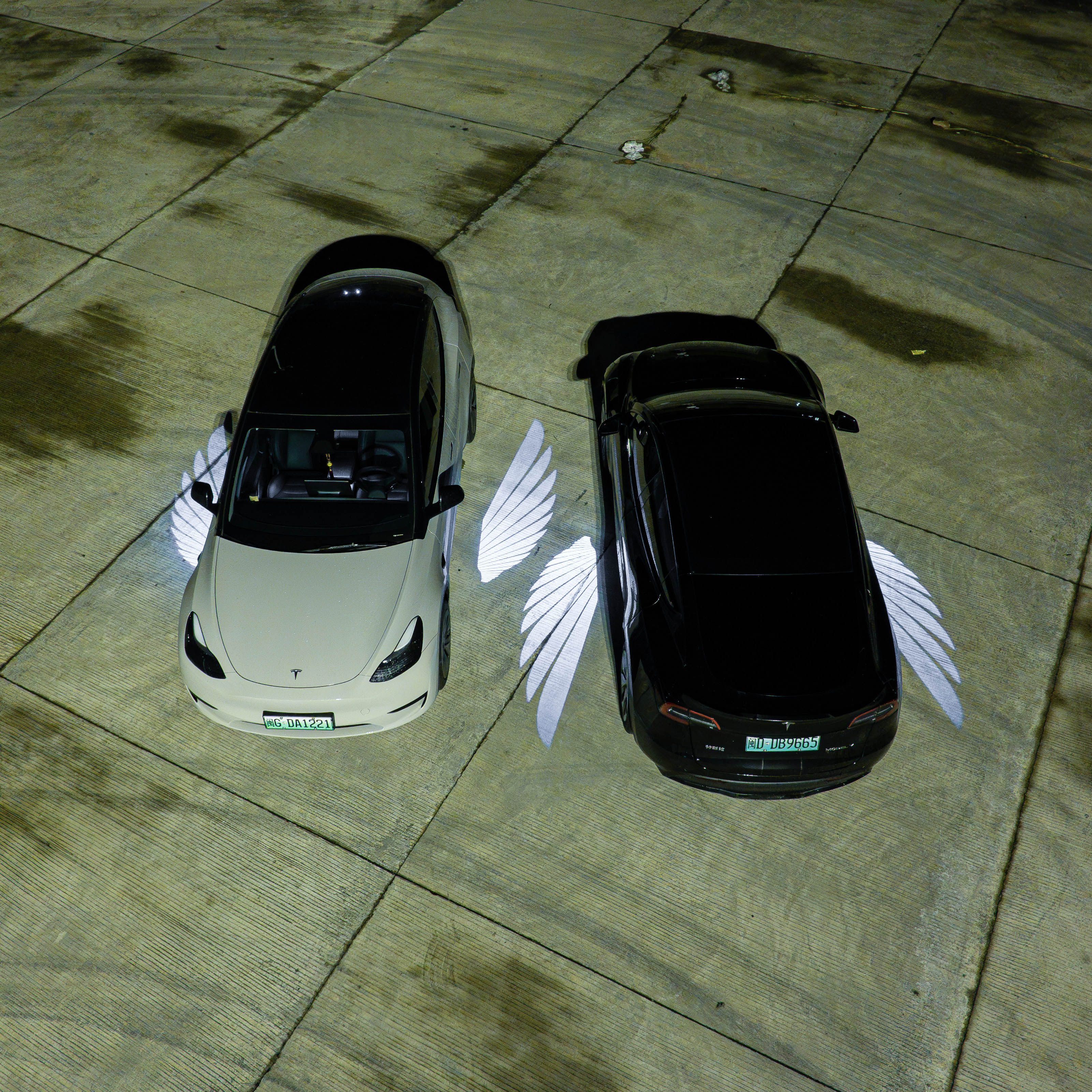 Tesla model y angel wings welcome light mat: plug-and-play installation ...