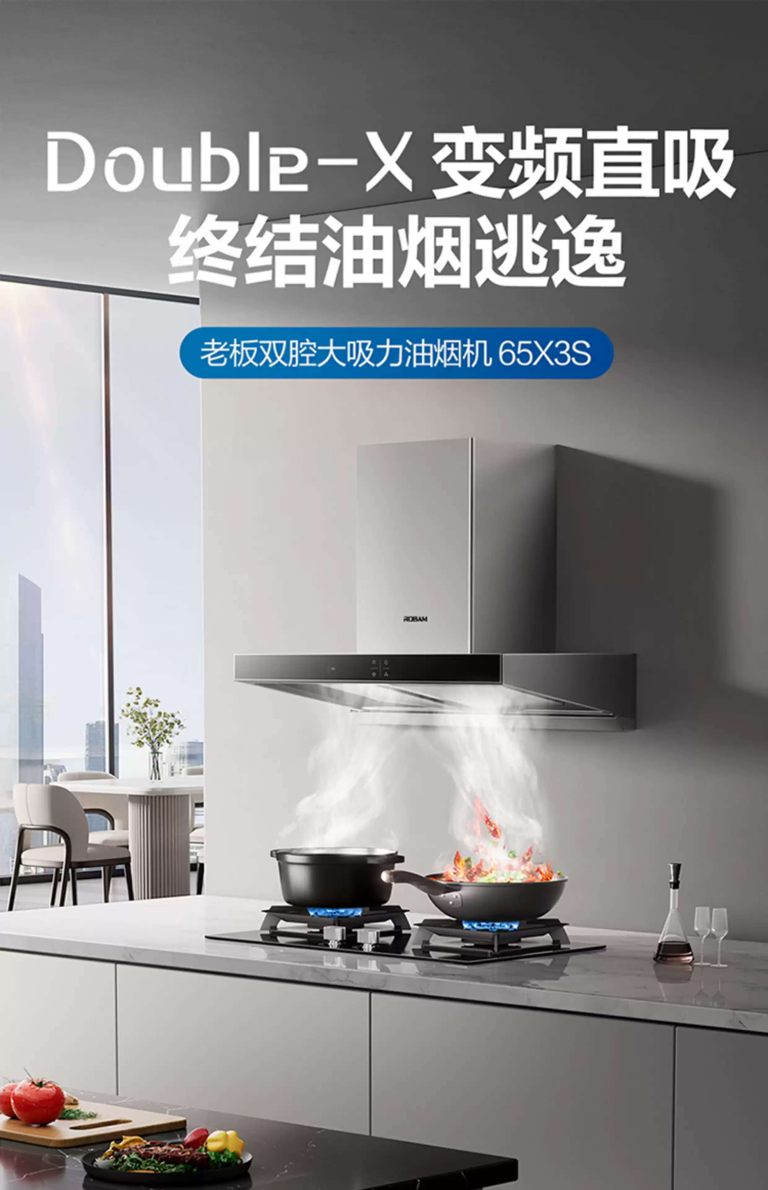 Robam/老板 CXW-260-65X3S欧式单烟机