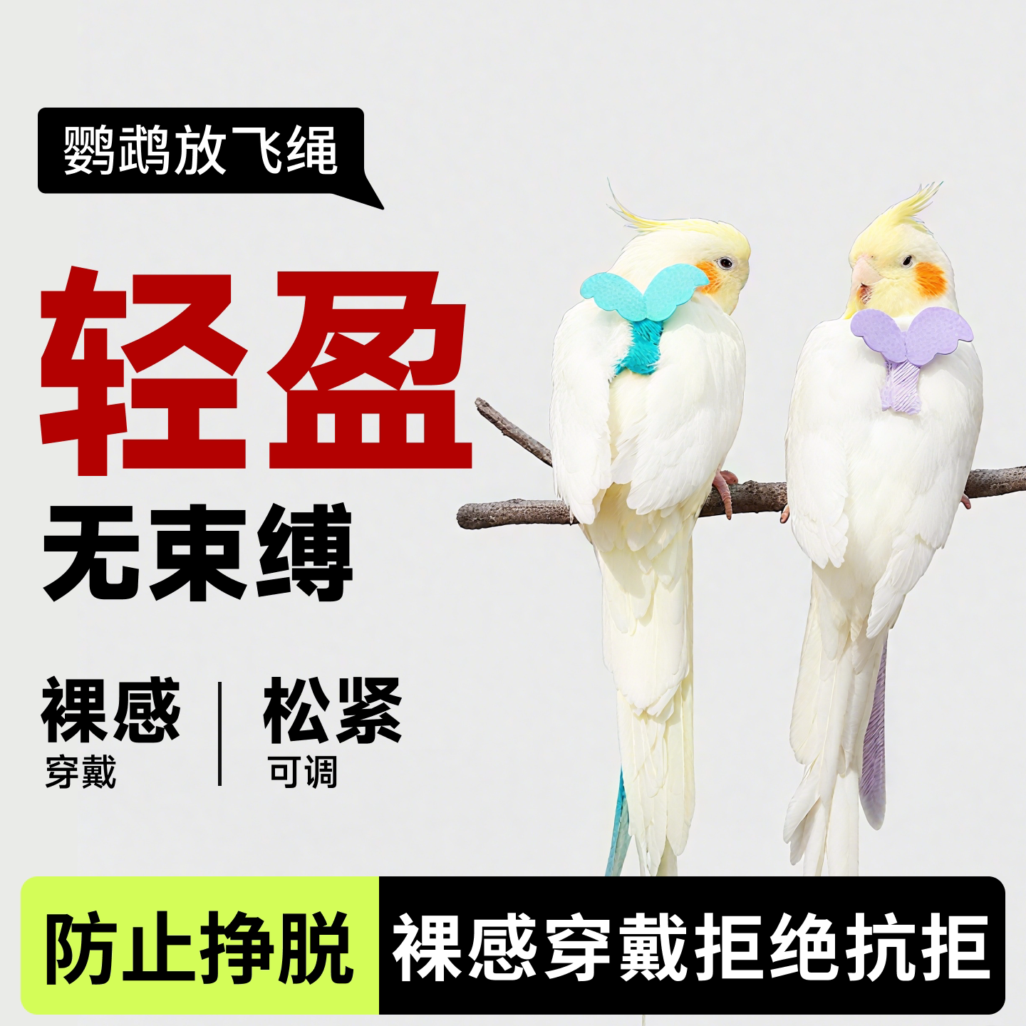 A must buy for 25 years! ultra-light parrot leash + harness, walking ...