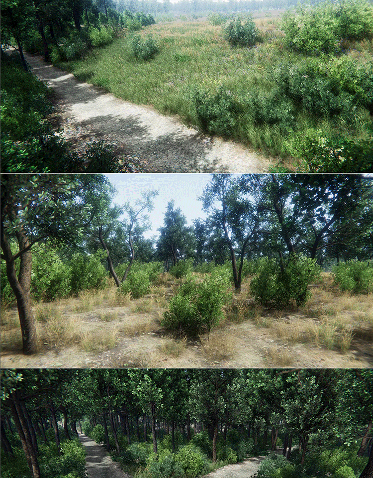 Unity3D写实橡树林森林场景U3D植物灌木花草Forest Environment - 场景模型 - 绘图狗-设计灵感素材集散地