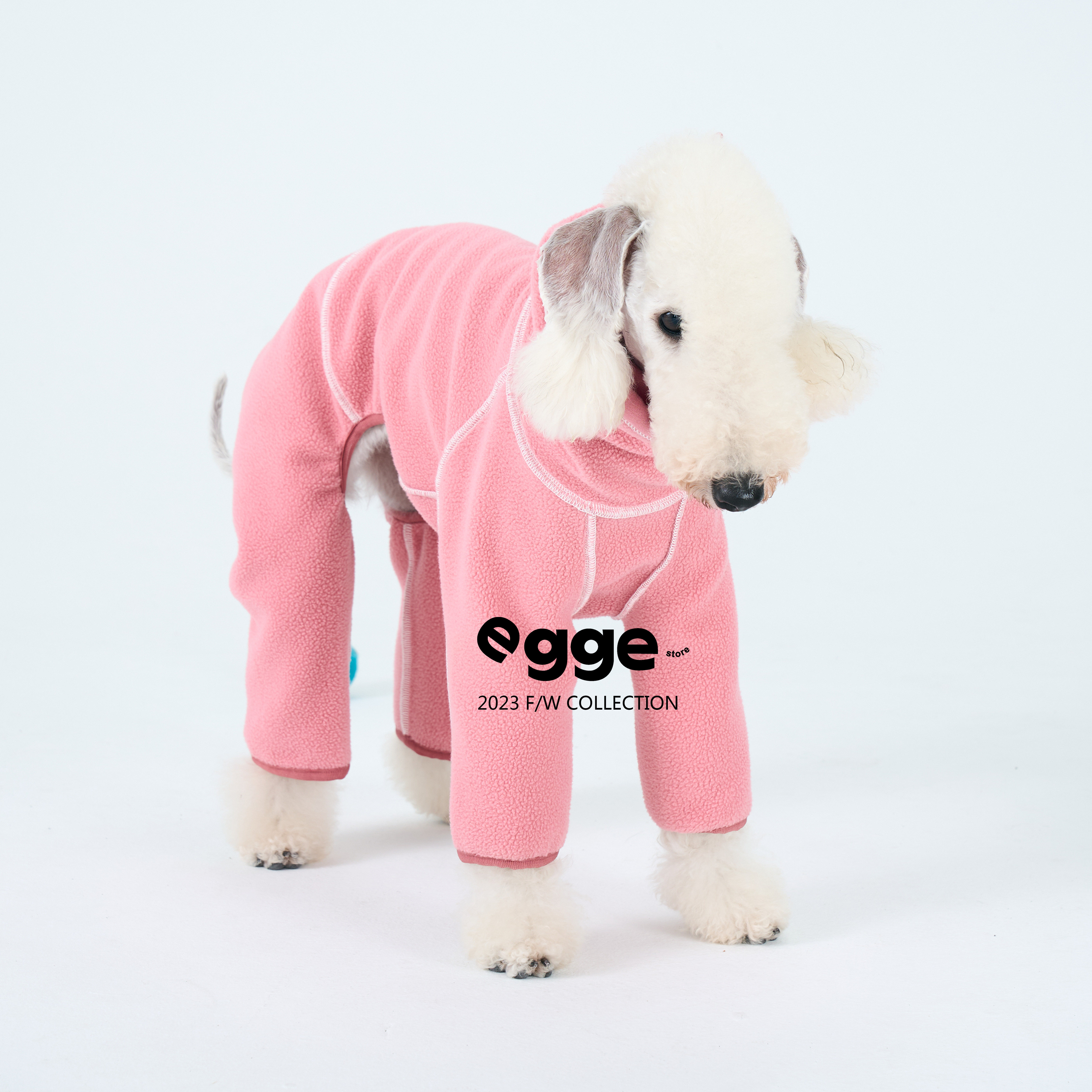 Fall and winter must-have! egge bellington contrast color sweatshirt ...