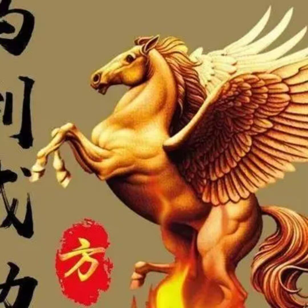 金马丽人女装