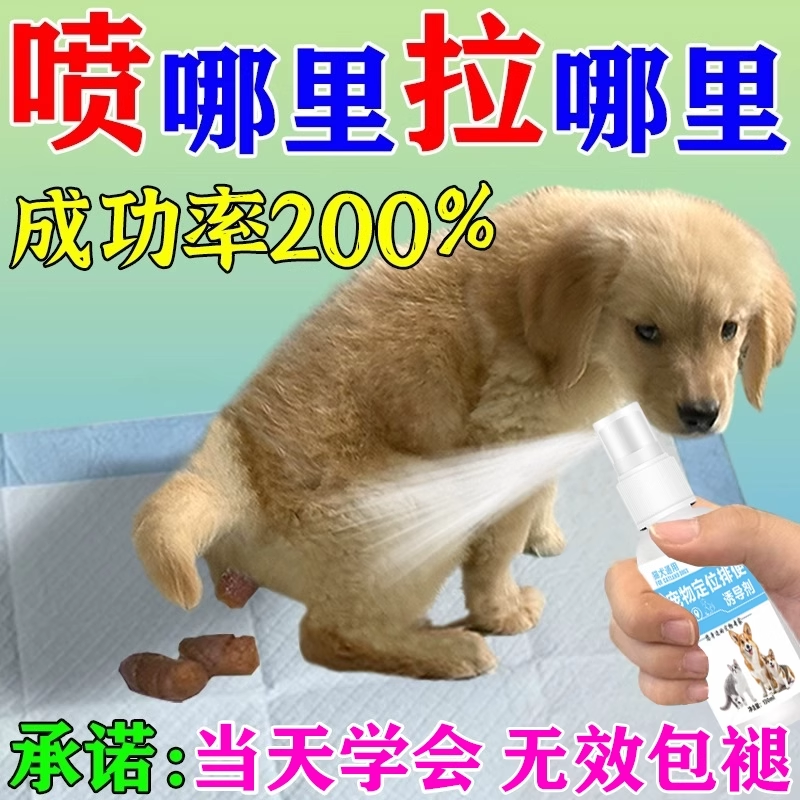 狗狗上厕所定点排便诱导剂测评｜训练狗狗大小便喷剂推荐，乱拉乱尿终结神器！-皮肤喷剂-淘宝好物网