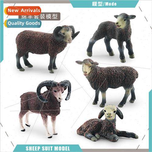 Poultry farm animals sheep model children cognive black shee